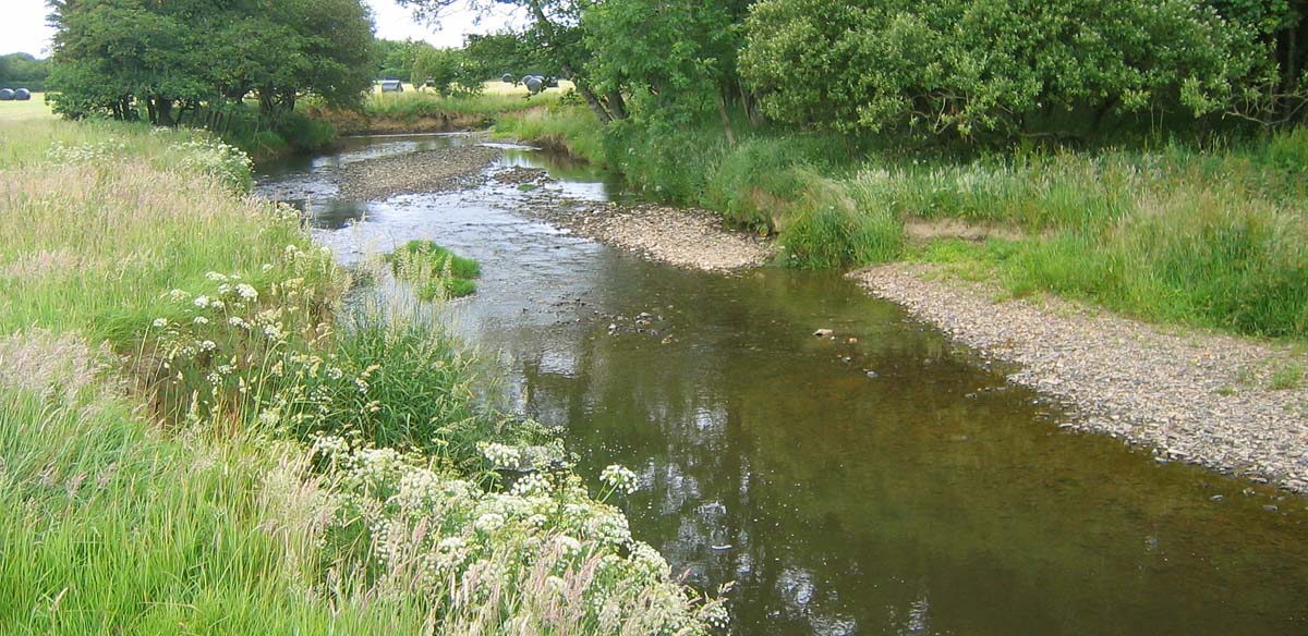 Fish Pass - Homepage